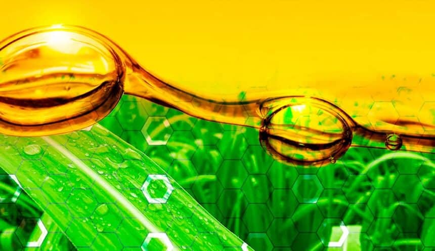 Analizando las Ventajas y Desventajas del Bioetanol