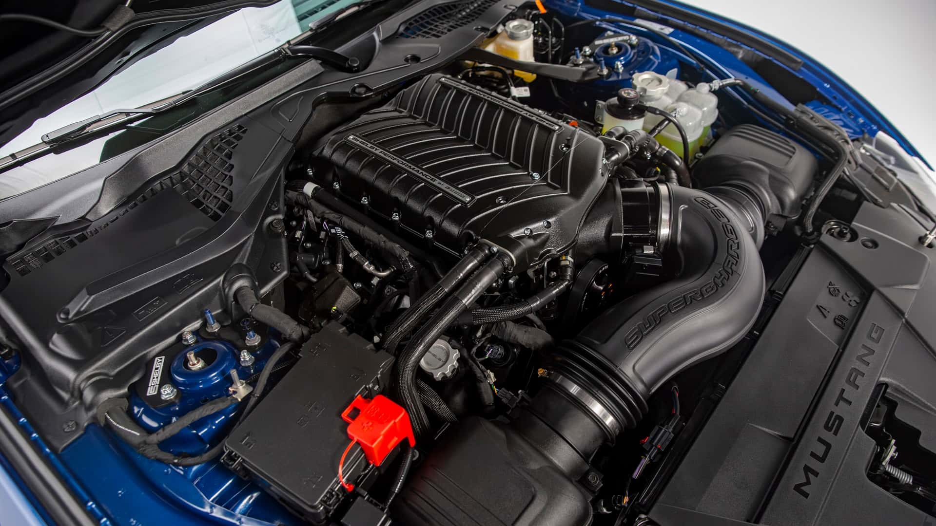 ᐅ Nuevo Shelby Super Snake 2024: Un Mustang Que Redefine Los Límites De ...