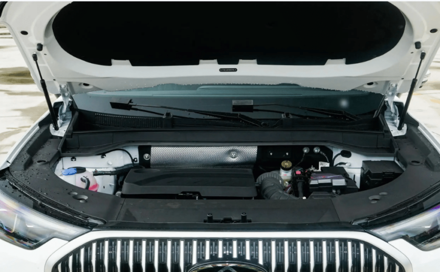 Chery Tiggo 9 2025 y Tiggo 9 C-DM: Así Son